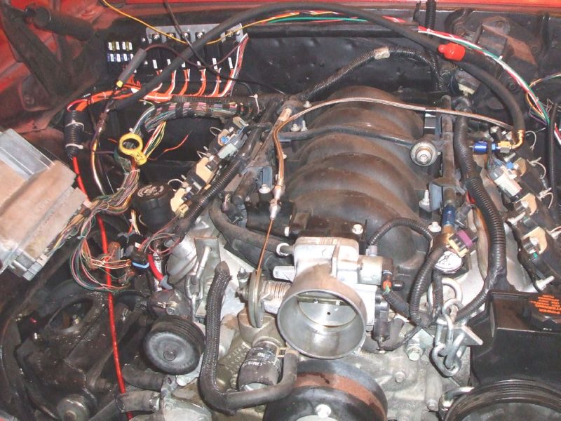 Fuel line routing? | Team Camaro Tech